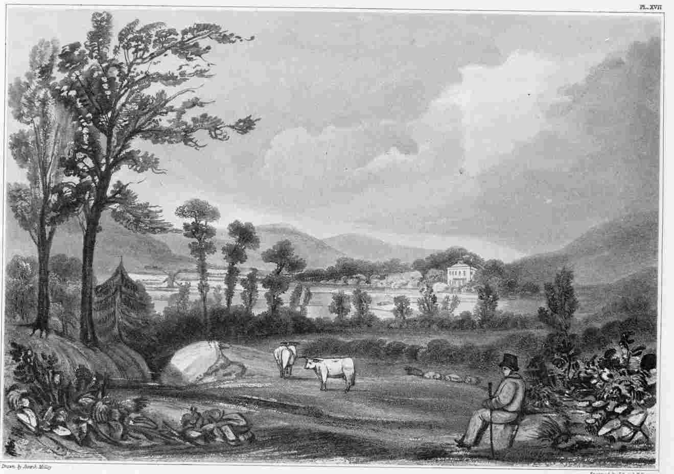 Bloomfield House, 1775-1798